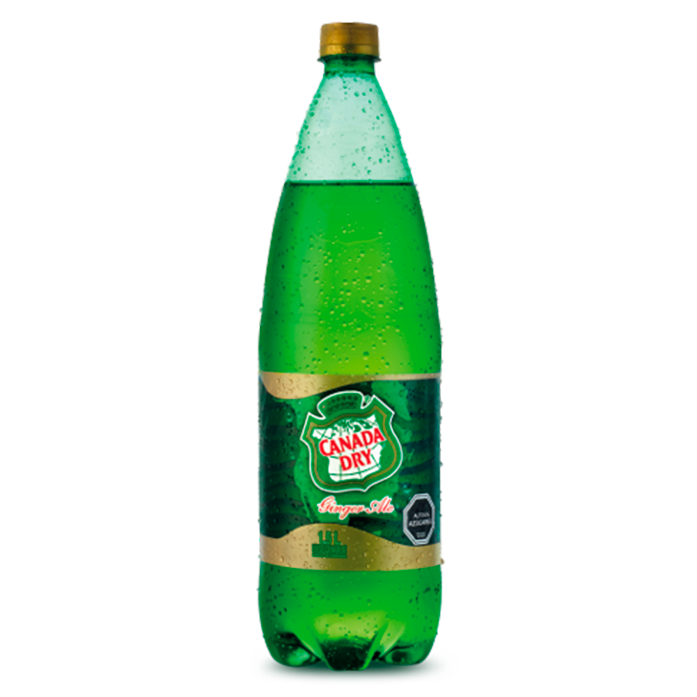Bebida Ginger Ale Canada Dry Botella 1500cc - Tost